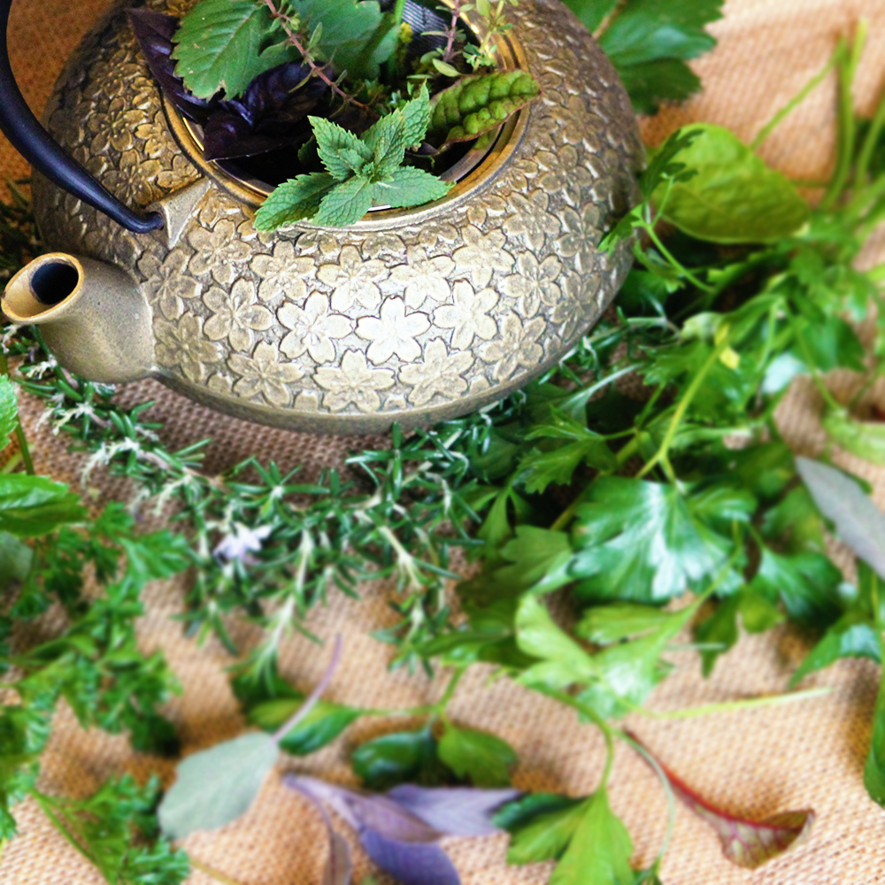 The Healthy Patch: Healing Herbs You Can Grow In The Cooler Months