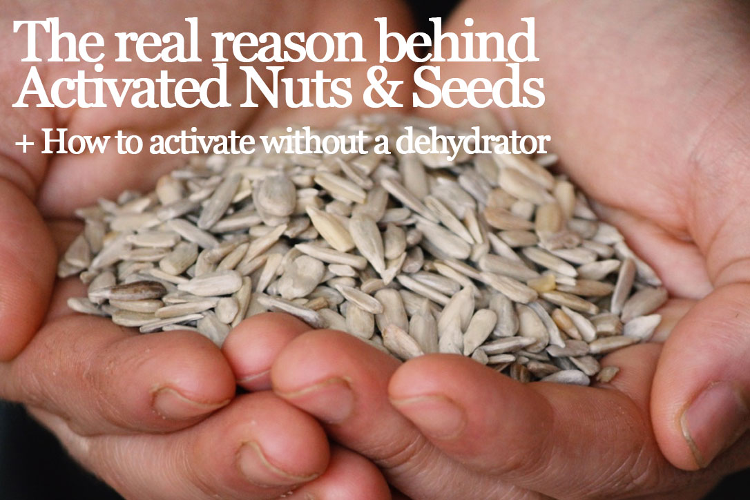 The real reason behind Activated Seeds & Nuts + How to activate without ...