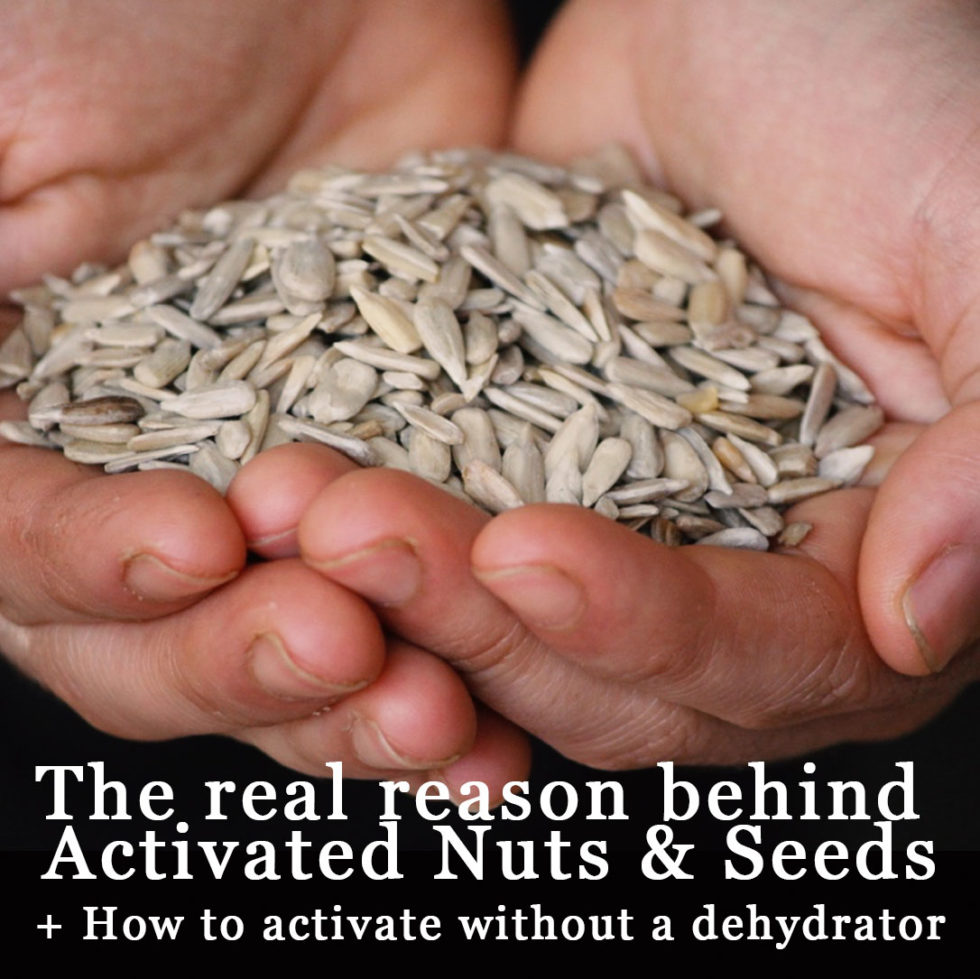 The real reason behind Activated Seeds & Nuts + How to activate without ...