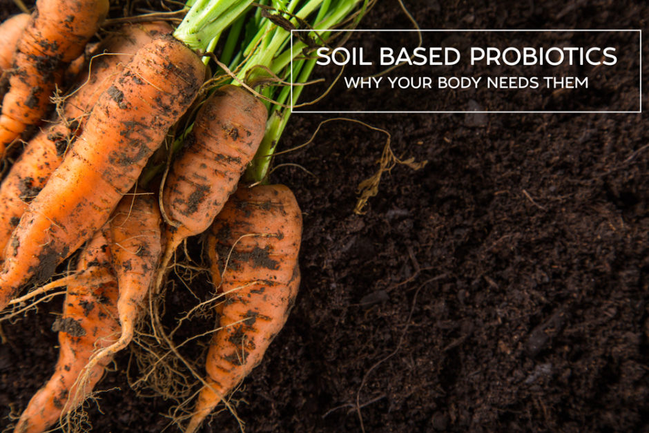 Soil Based Probiotics - Why your body needs them - The Healthy Patch