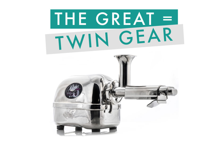 The Great Juicer Guide - The Healthy Patch
